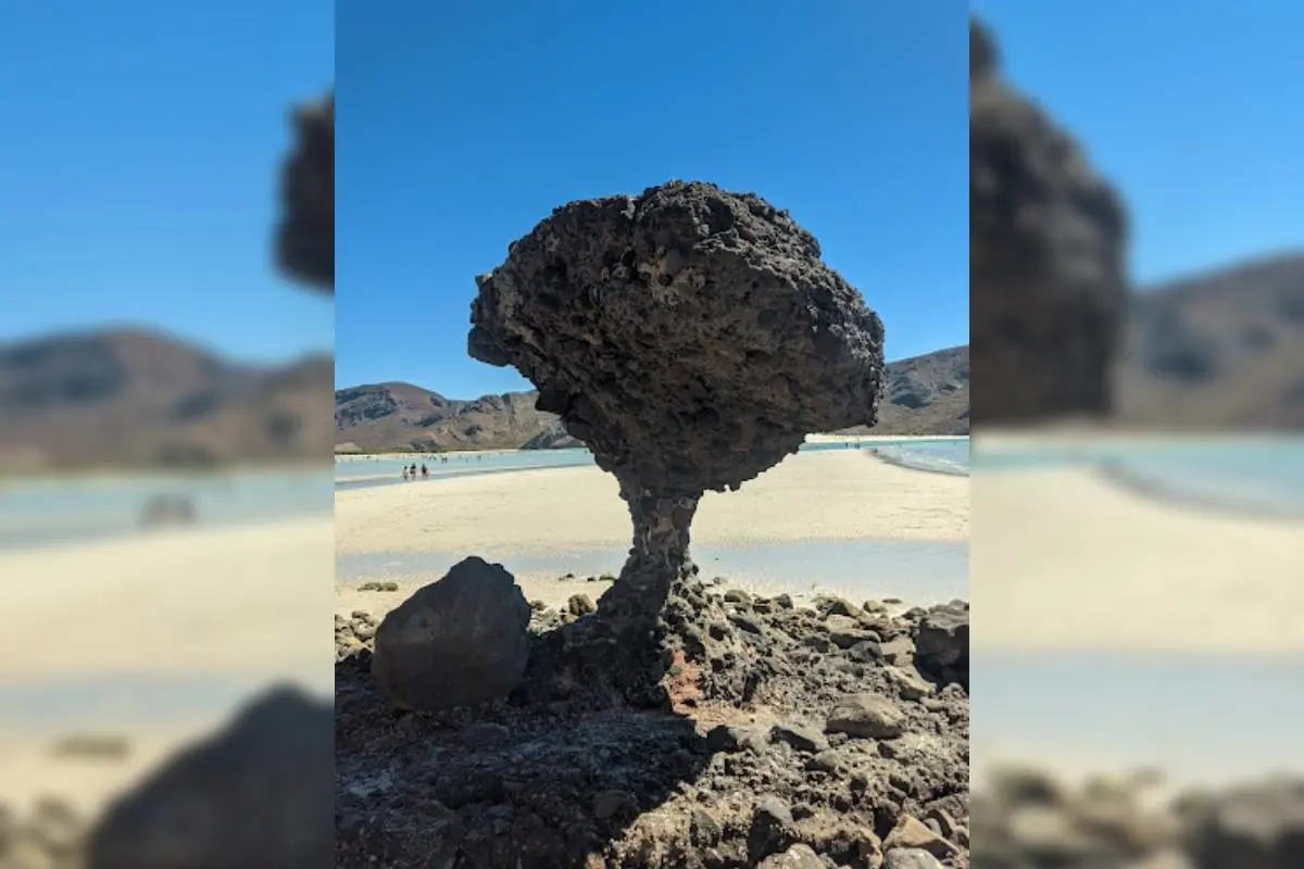 ¡Hongo a la vista! Captan bajamar en playa Balandra - POSTA México