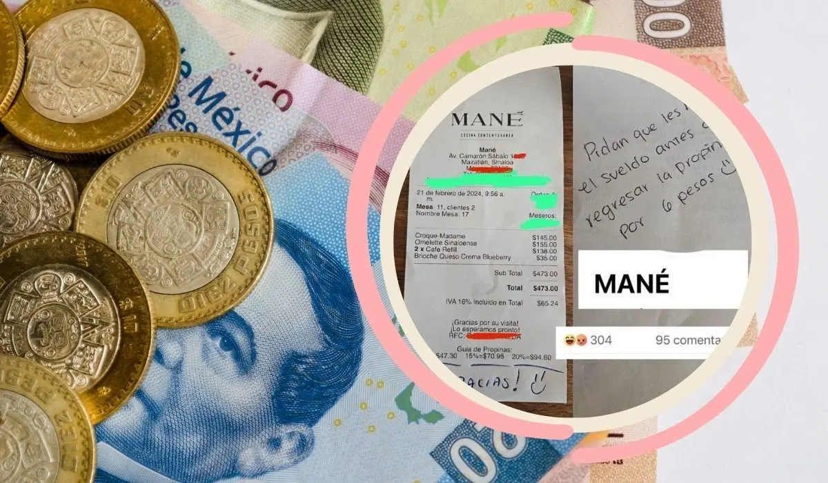 Propina en restaurante MANÉ: ¿obligación o muestra de agradecimiento ...