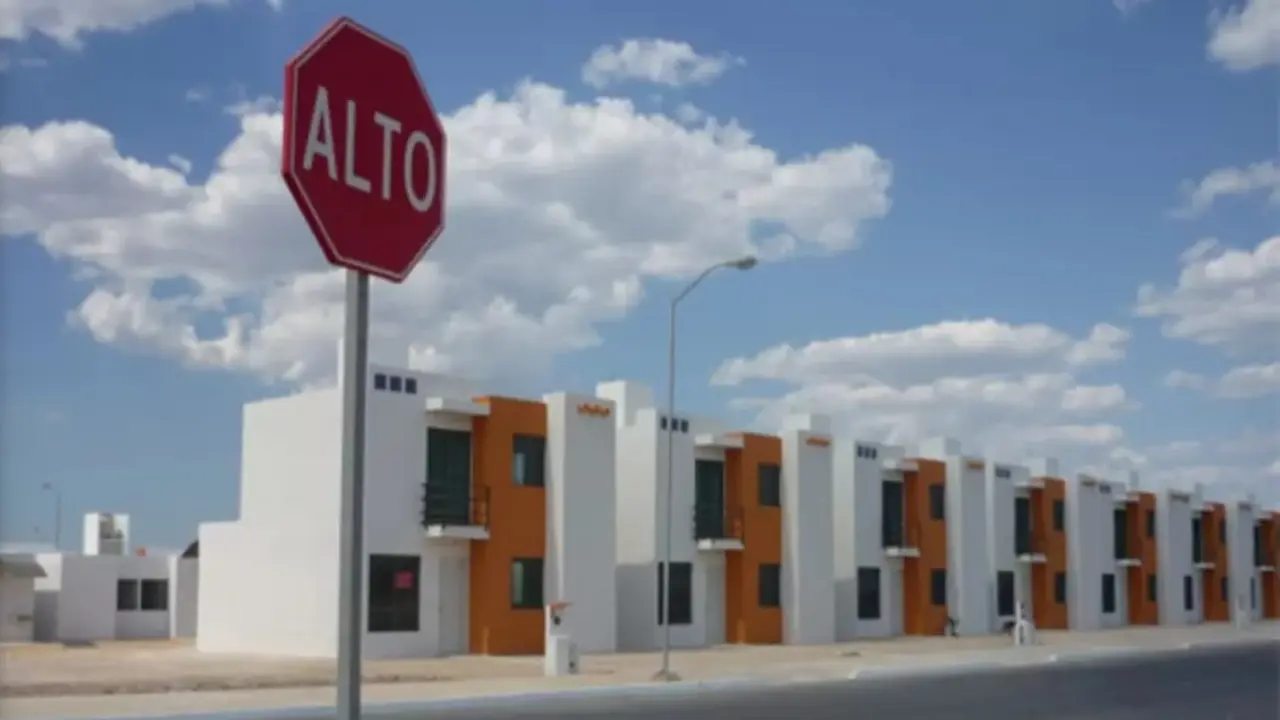 Estos son los árboles de Yucatán que puedes sembrar sin romper la ...