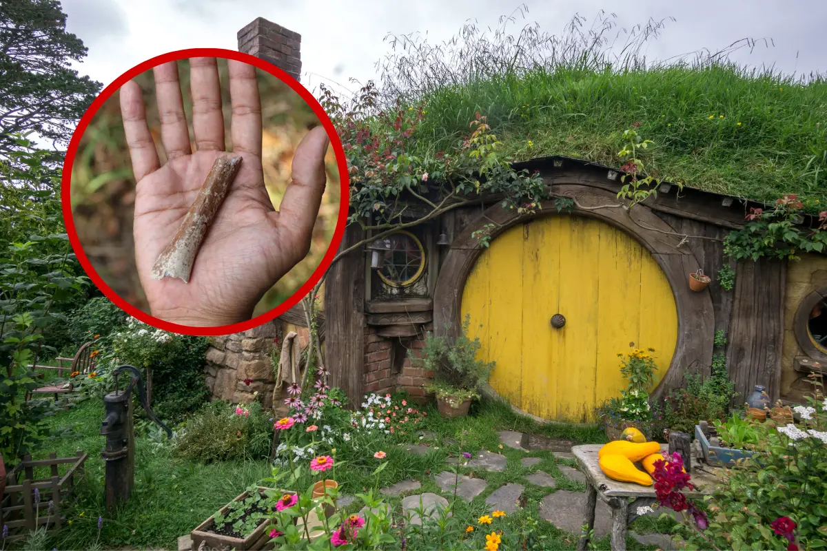 Los hobbits sí existieron; nuevos fósiles lo revelan - POSTA México