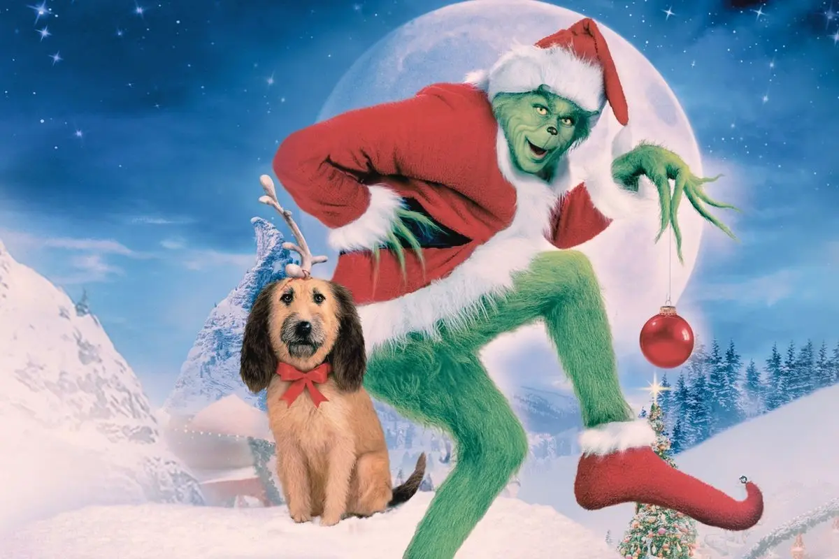 El Grinch en Netflix ¿Cuál es el verdadero significado de la navidad ...