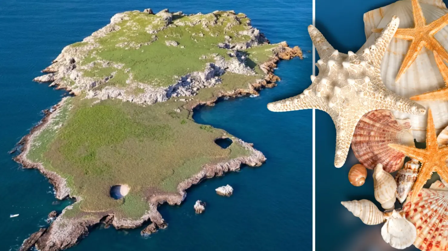 Nayarit: Descubre las maravillas de las Islas Marietas en - POSTA México